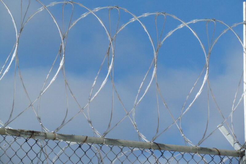 The Law That Sent a Man to Prison for Life for Stealing a Pair of Hedge ...